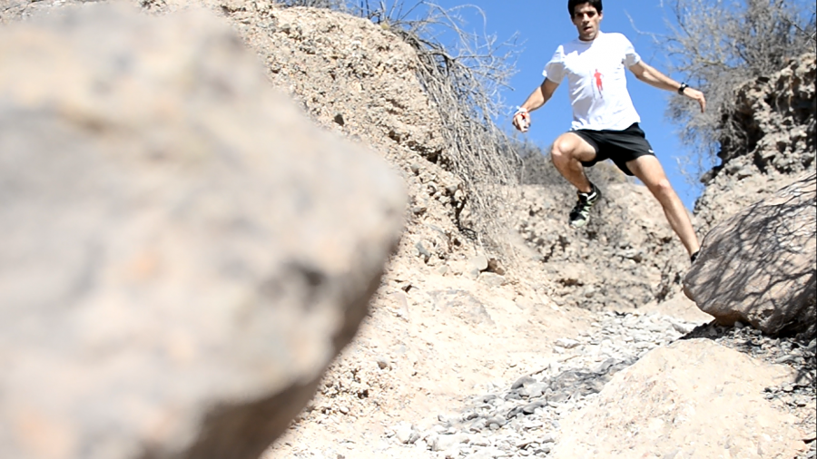 Componentes necesarios en el entrenamiento aeróbico. - bulevip.com