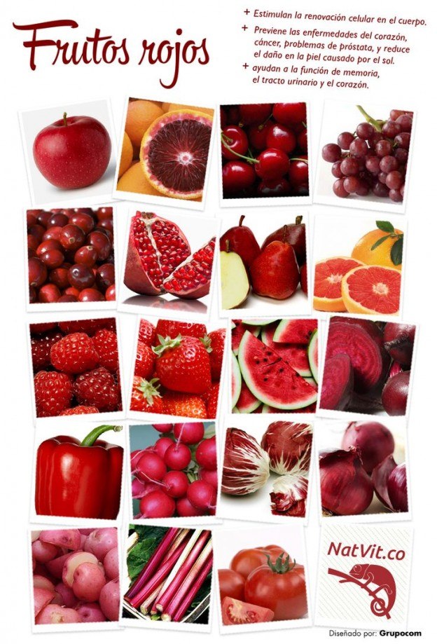 Los beneficios de los frutos rojos. - bulevip.com