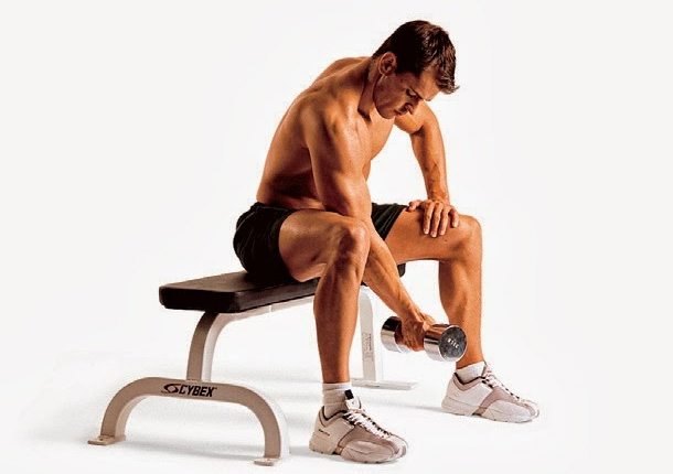 Ejercicios imprescindibles: Curl de Bíceps nda Bulevip, amantes del deporte
